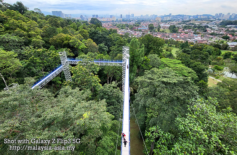 Kepong Forest Skywalk FRIM