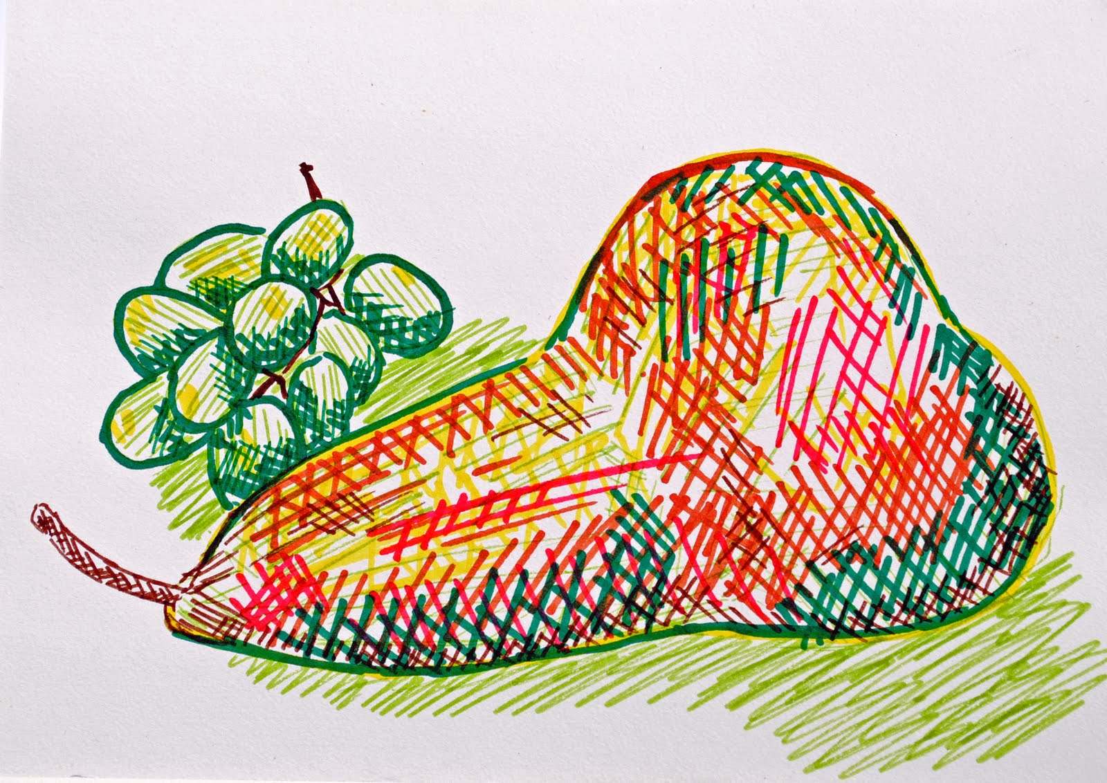 Debbie's place: Drawing Fruit and Vegetables in Colour