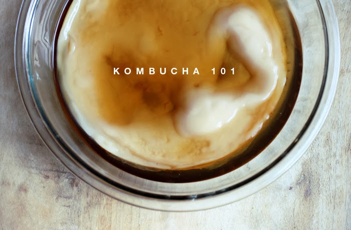 Wisdom and Honey: Kombucha 101