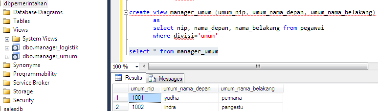 Using View Ms Sql Server Nyok Ngoding
