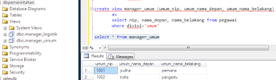 Using View Ms. SQL Server - NYOK NGODING