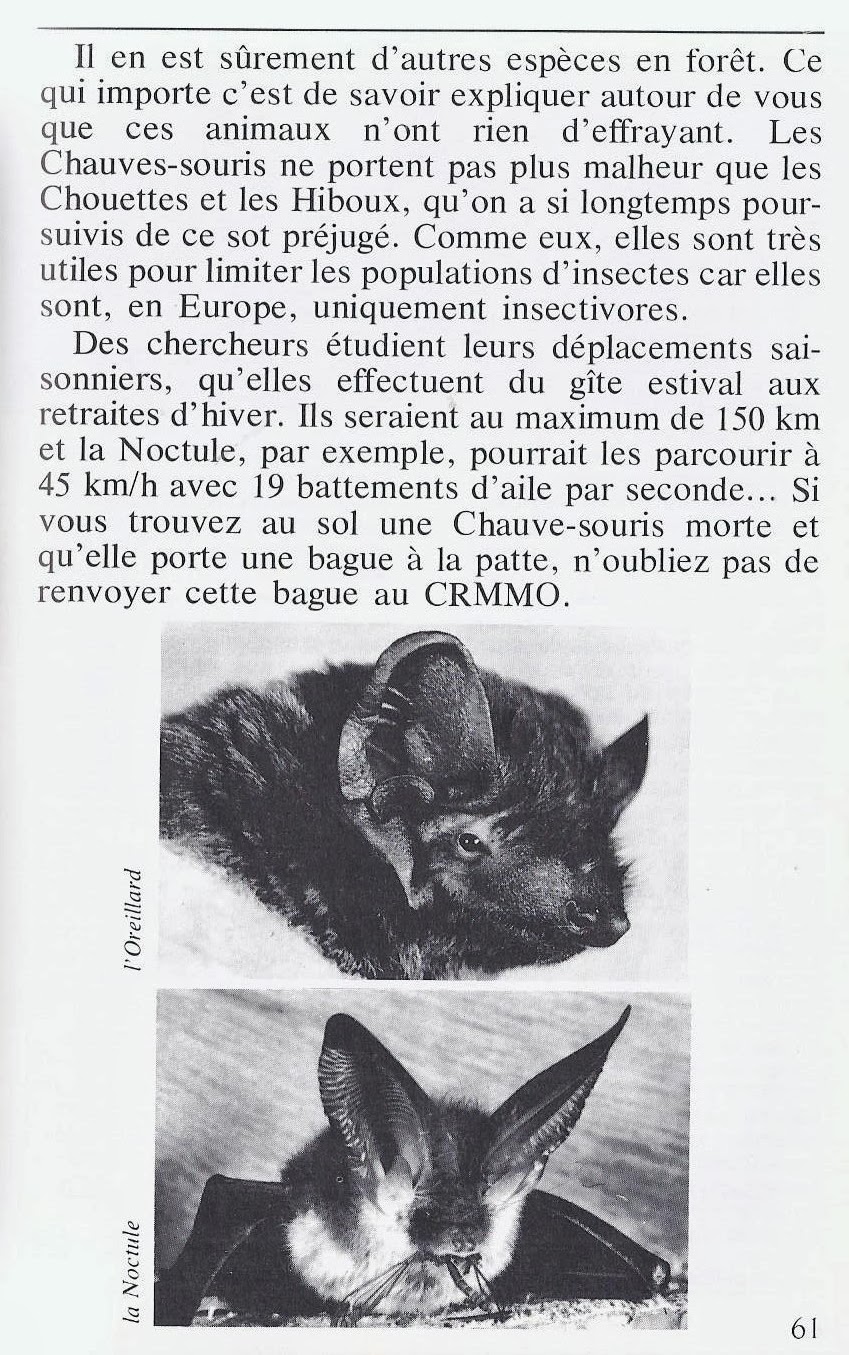 Leçons de choses: Dans le bois