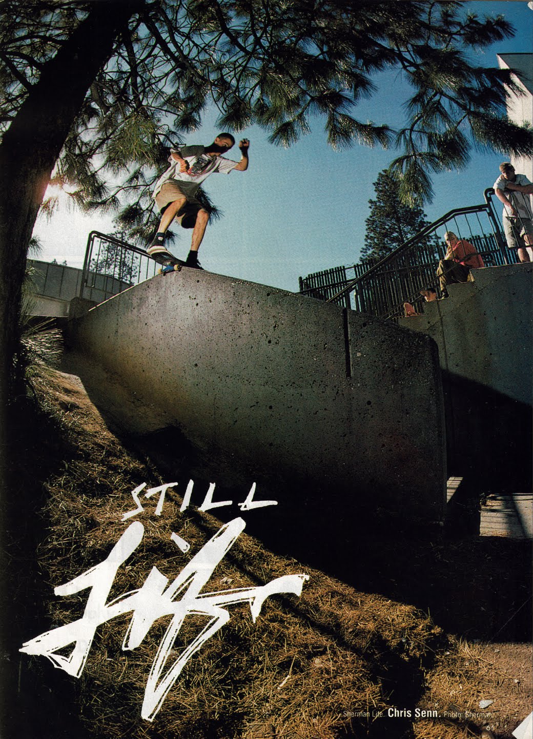 the chrome ball incident: chrome ball interview #91: chris senn