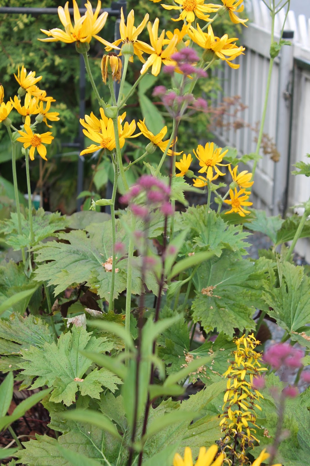 Unelmia keltaisessa talossa: Pientä kukintaa