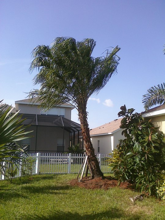 A Quality Plant: 3/20/11 - 3/27/11