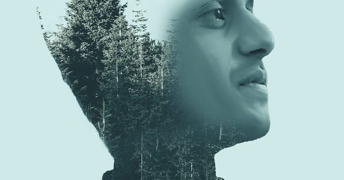 Tree Manipulation - NH Ruman