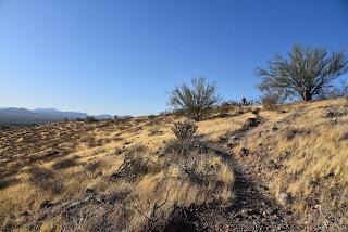Arizona Hiking: Lousley Hill Trail