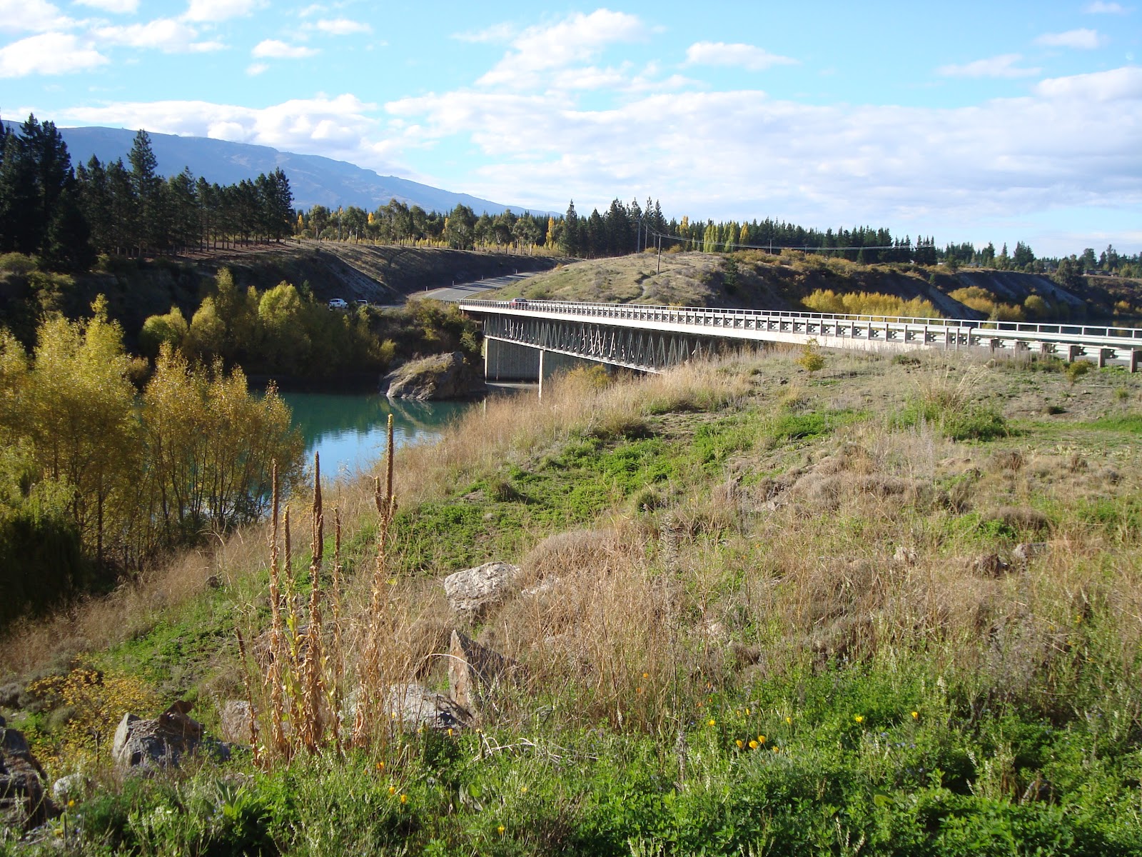 The Field of Gold: Bannockburn Bridge. Central Otago. The old and the new.