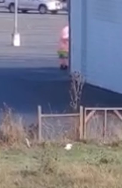 Words Worth: Man dressed up as a SpongeBob character was chasing people ...