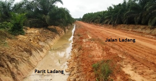Anim Agro Technology: PARIT LADANG - KEPENTINGANNYA