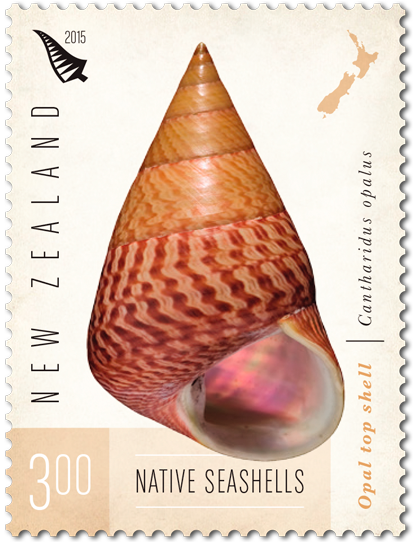 2015 New Zealand Native Shells