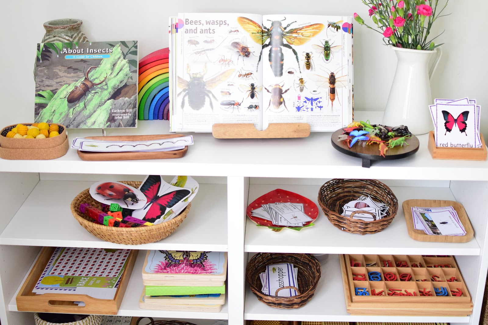 The Pinay Homeschooler: insect unit study