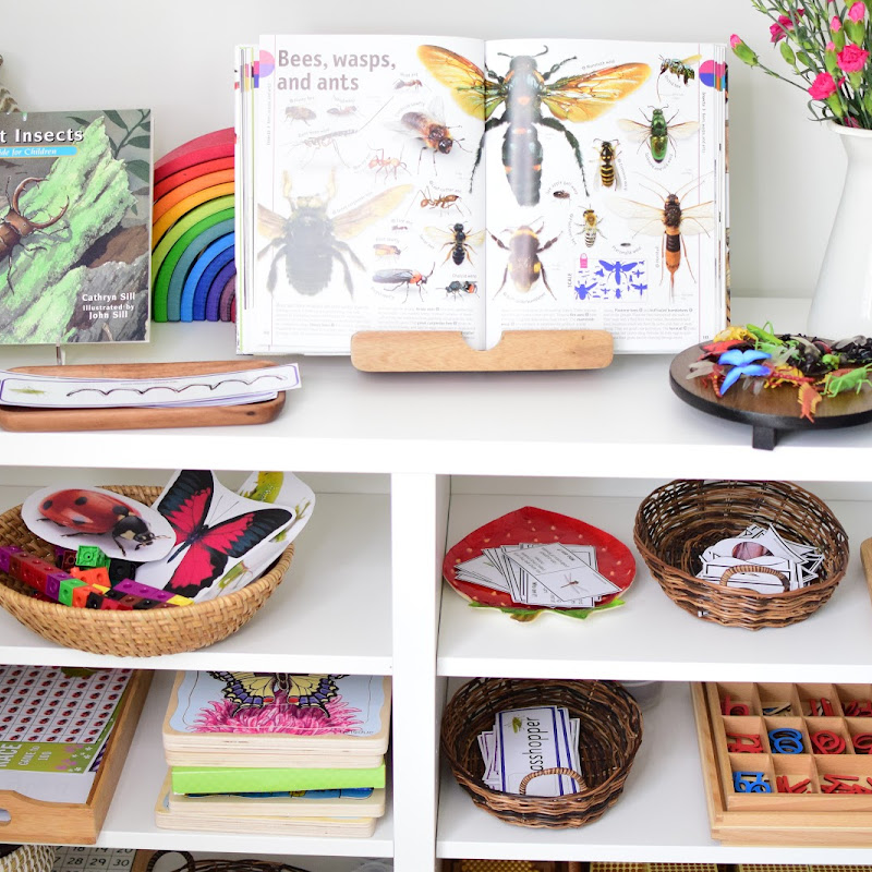 Insect Themed Lesson Plans for Kindergarten to First Grade | The Pinay ...