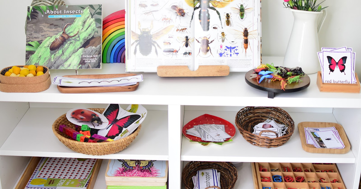 Insect Themed Lesson Plans for Kindergarten to First Grade | The Pinay ...