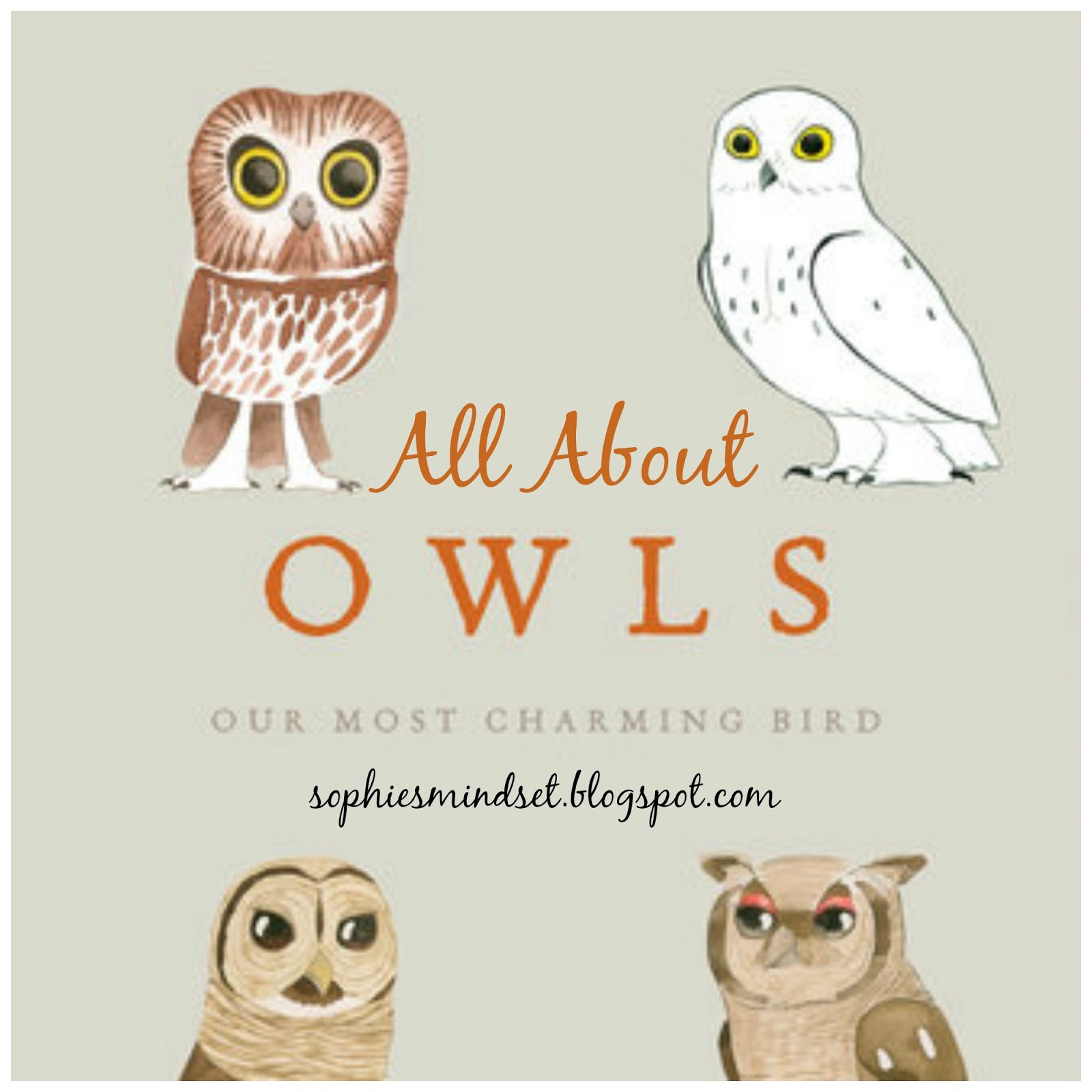 Sophie's Mindset: All about Owls
