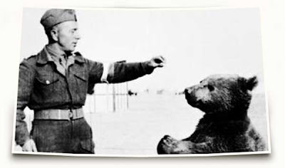 Nothing To Do With Arbroath: Private Wojtek, the bear who fought ...