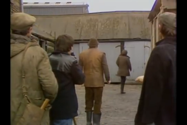 LARPing Real Life: Against the Crowd: "Murrain"