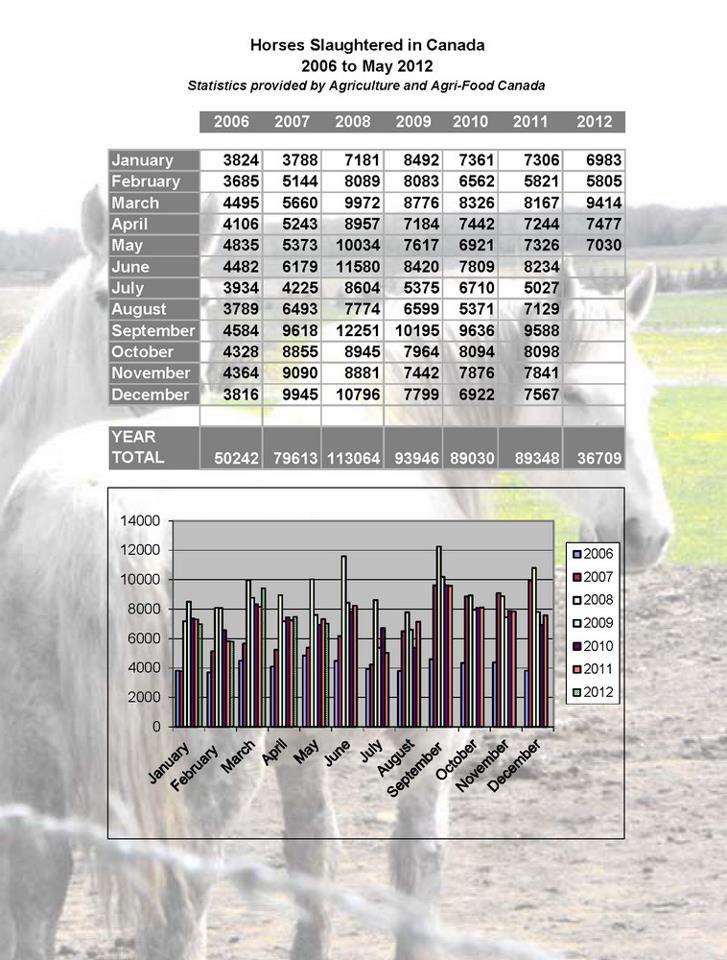 Blog Archives - helpermedic