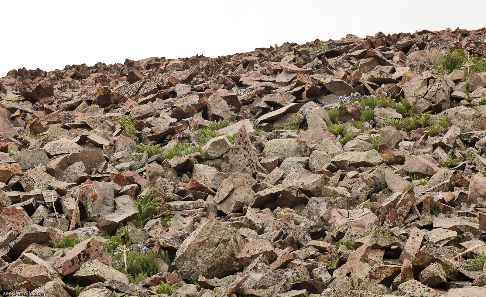 Colorado Day 10- Boreas page 1