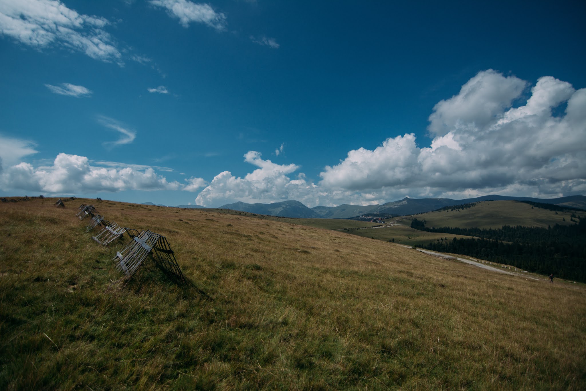 Blogul Corinei Negreanu