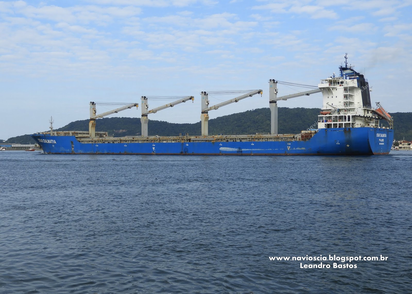 Navios de Santos & CIA: Navio STAR DALMATIA