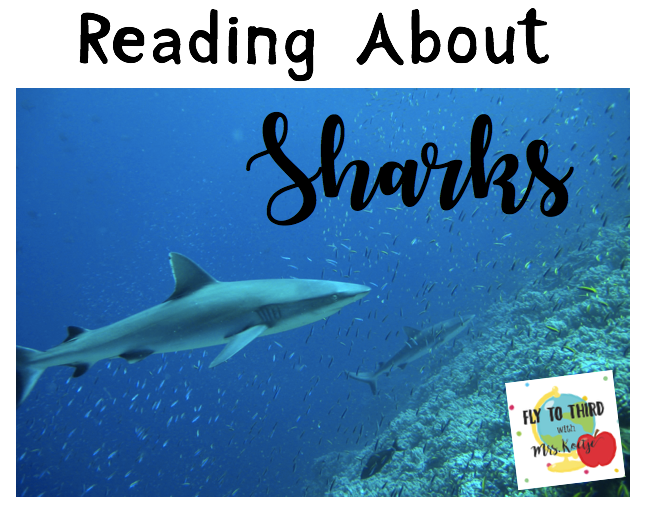 Fly to Third: ALL ABOUT SHARKS