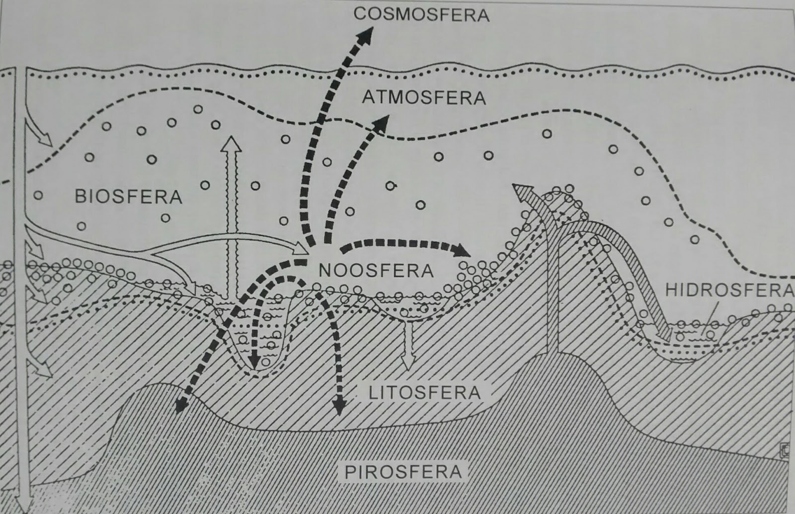 ecologizar: A noosfera na ecologia integral
