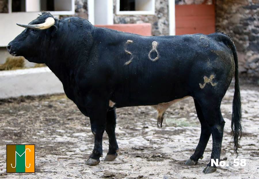 Lascosasdeltoro: Toros de Campo Hermoso, y Marrón para EL PANA en ...