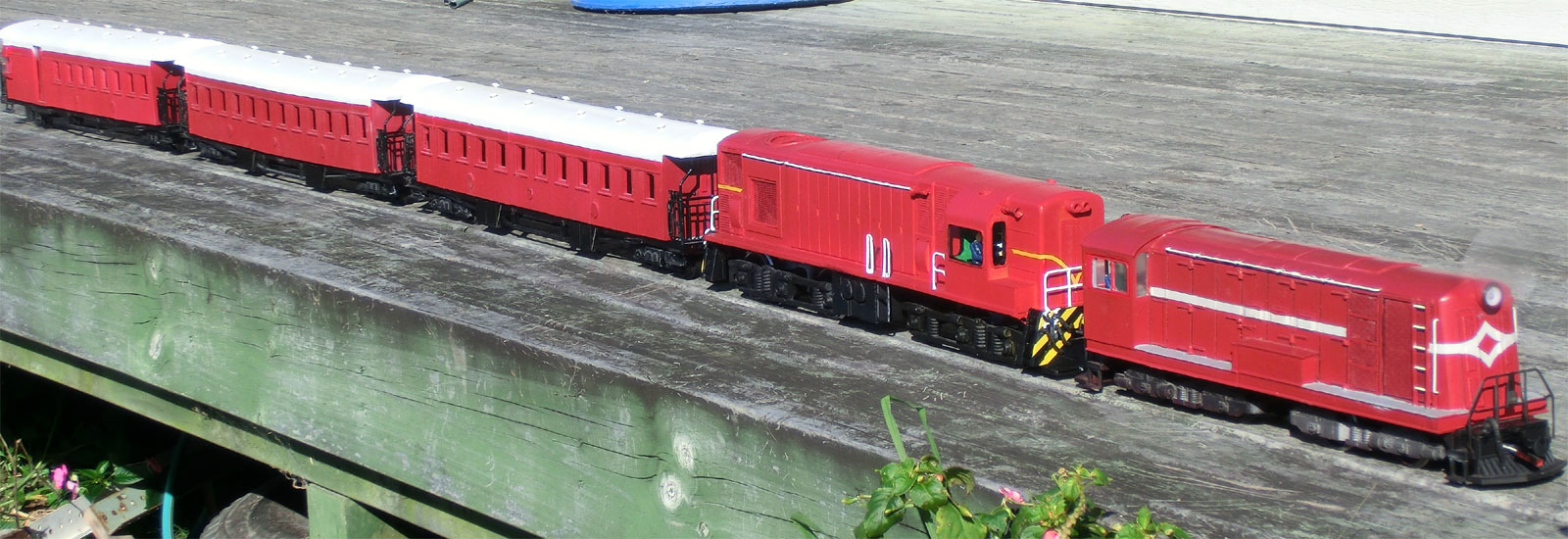 New Zealand Railway Models (Kiwi Trains): 1:24 DI Class