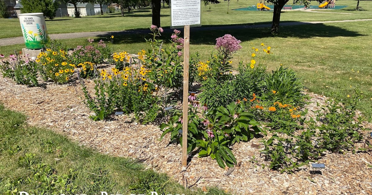 Over The Garden Gate: Update on Neighborhood Park Pollinator Beds Project