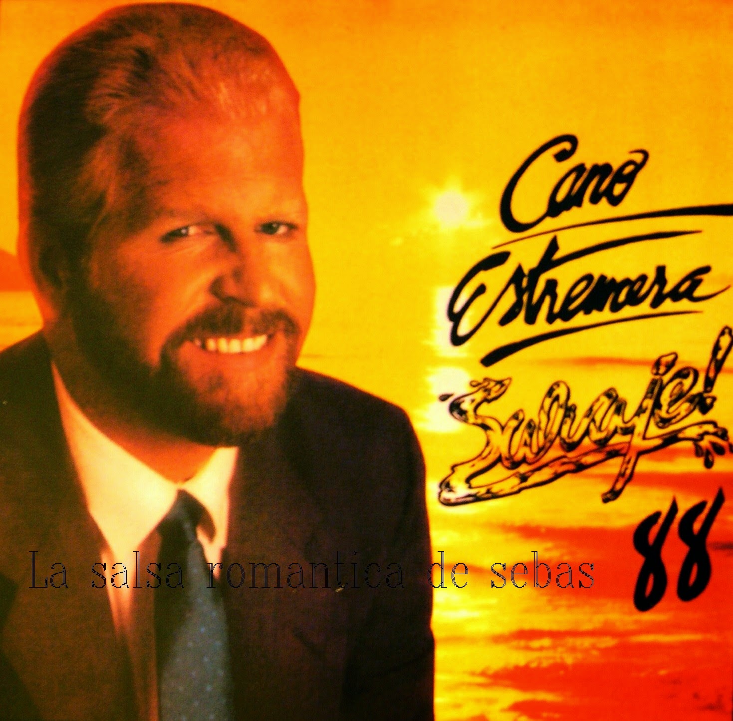 La Salsa Romantica de Sebas: Cano estremera - salvaje 1988