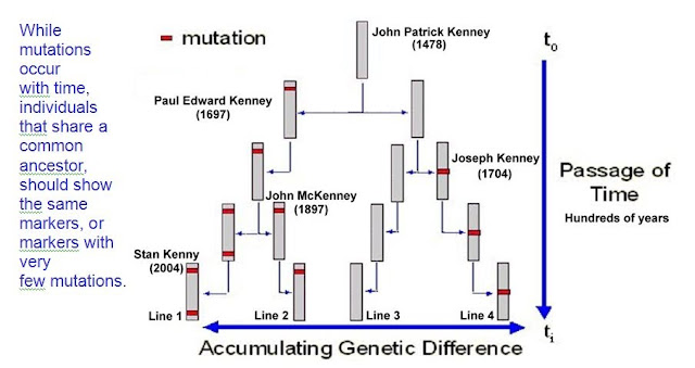 UpFront with NGS: DNA Testing for Genealogy 101 - What Can It Do For ...