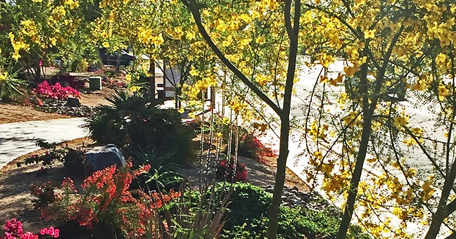 Krug's Studio: The Dissonance of Colors