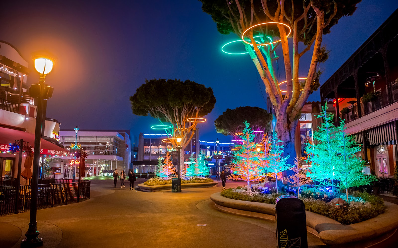 Fluorescent Evergreens in Downtown