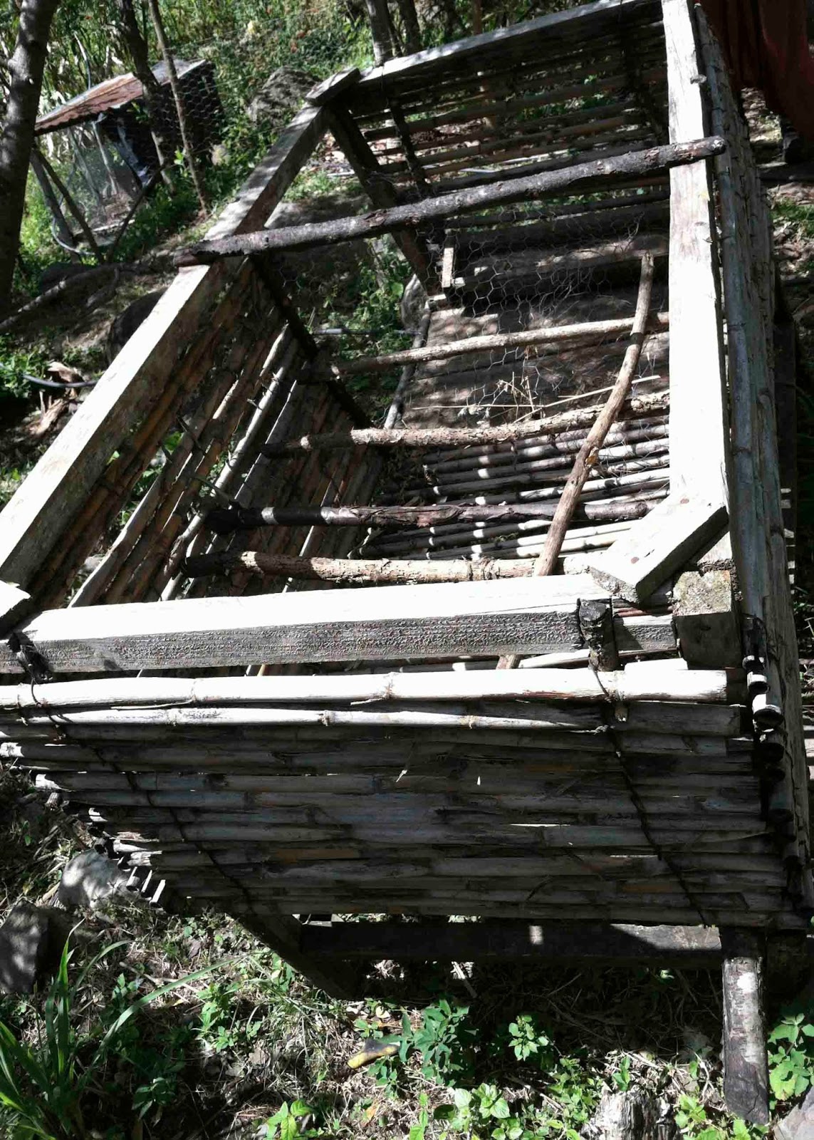 Whitmore Farm: Ninja farming in Guatemala