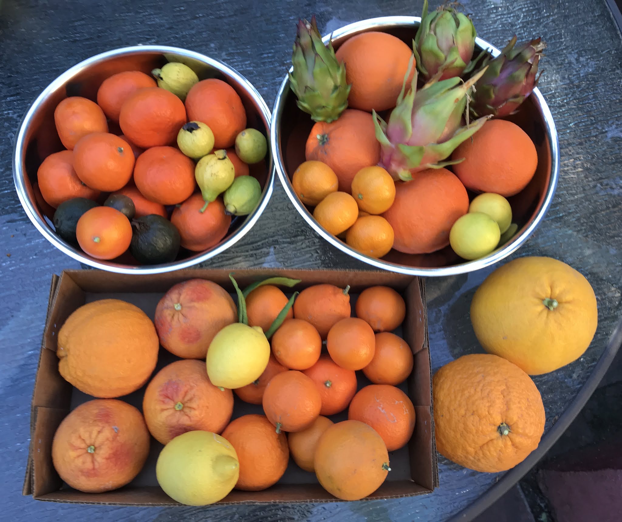 Gardening January Fruits Of Sacramento Valley gardening-january-fruits-of-sacramento-valley