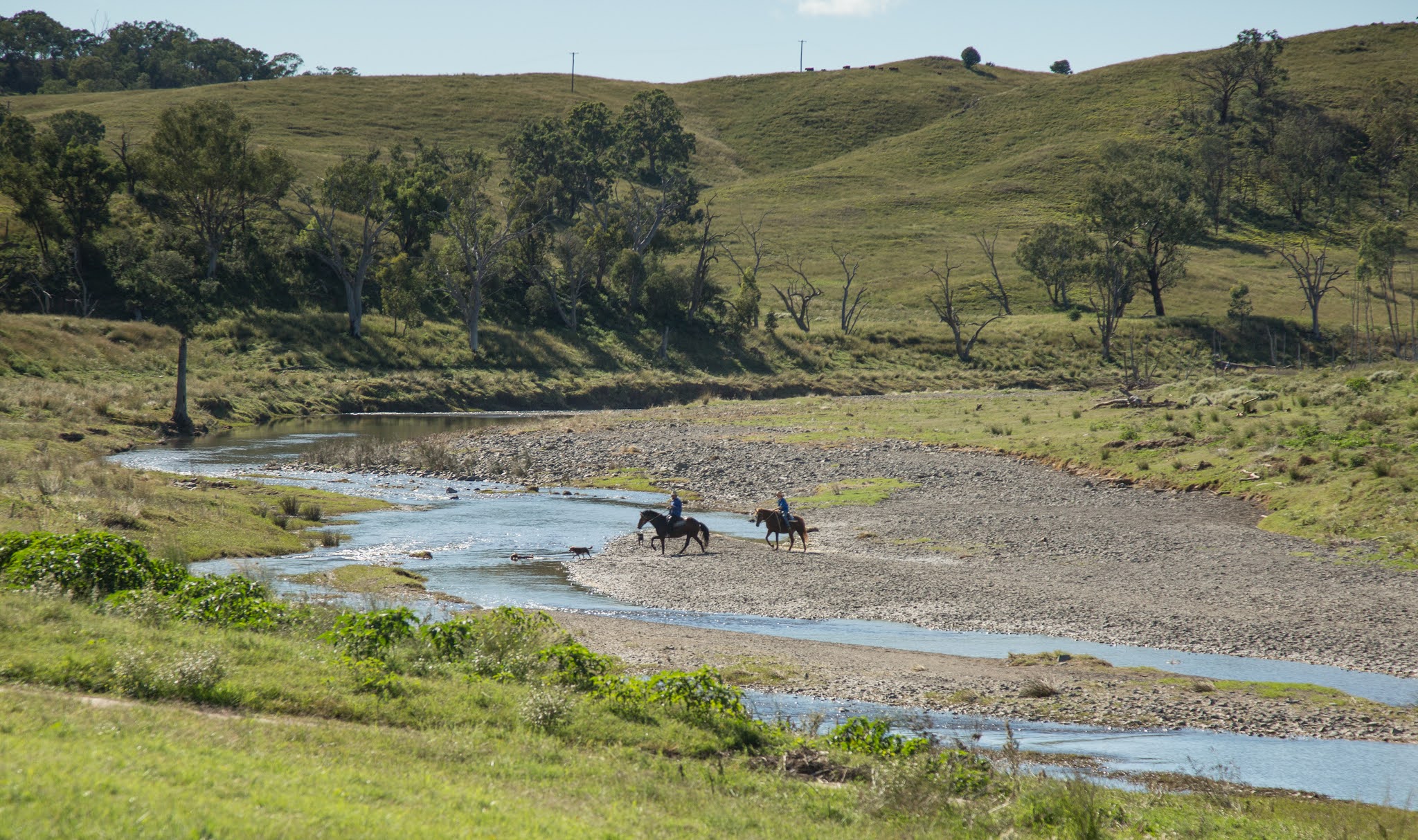 NSW Glenriddle Recreation Reserve