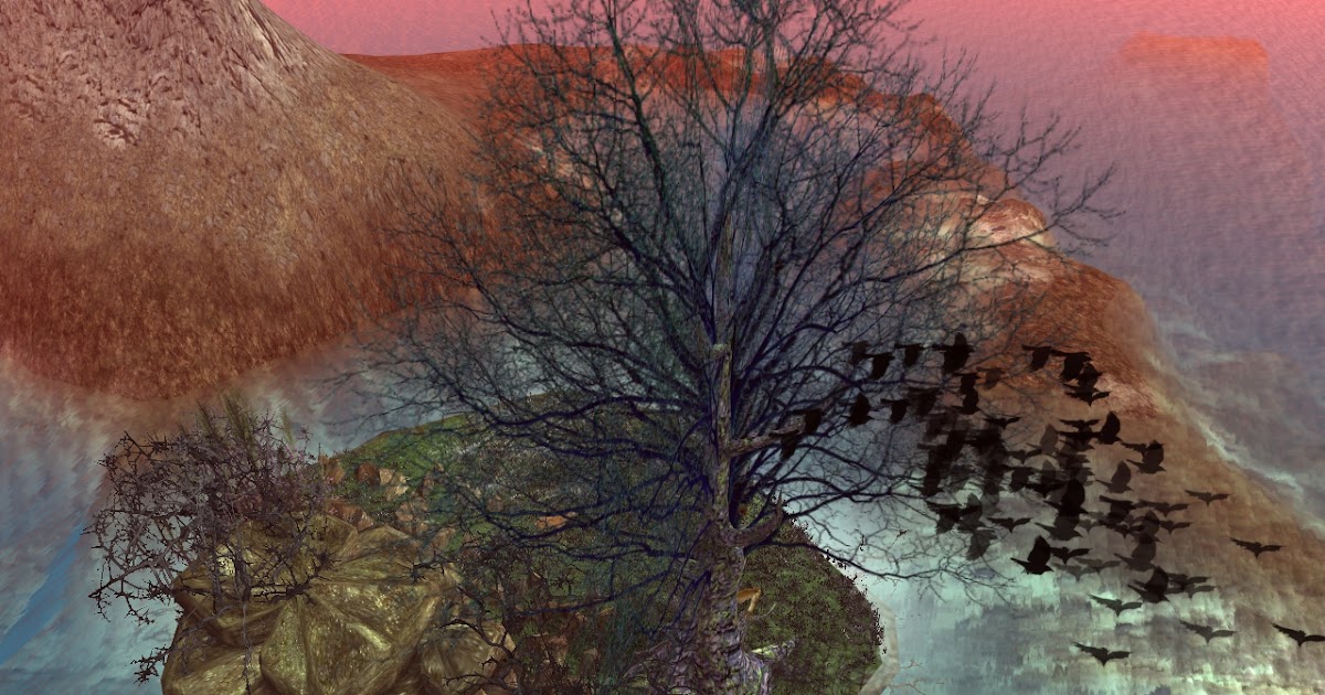 Honours Post Menopausal View Sex With Trees Just Another In The Long