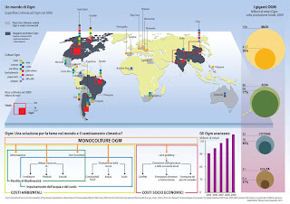Gli Ogm e il Golden Rice : STORIA DEGLI OGM E NORMATIVE