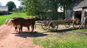 New Ross Gears Up For Christmas Festival | Country 100.7