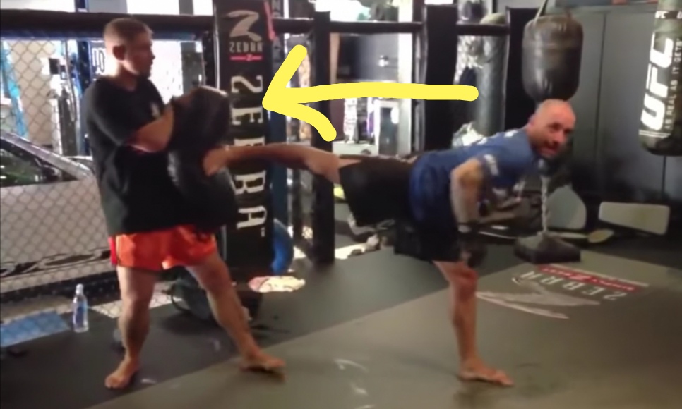 Side kick, back kick (Joe Rogan) | 세계 태권도 가족