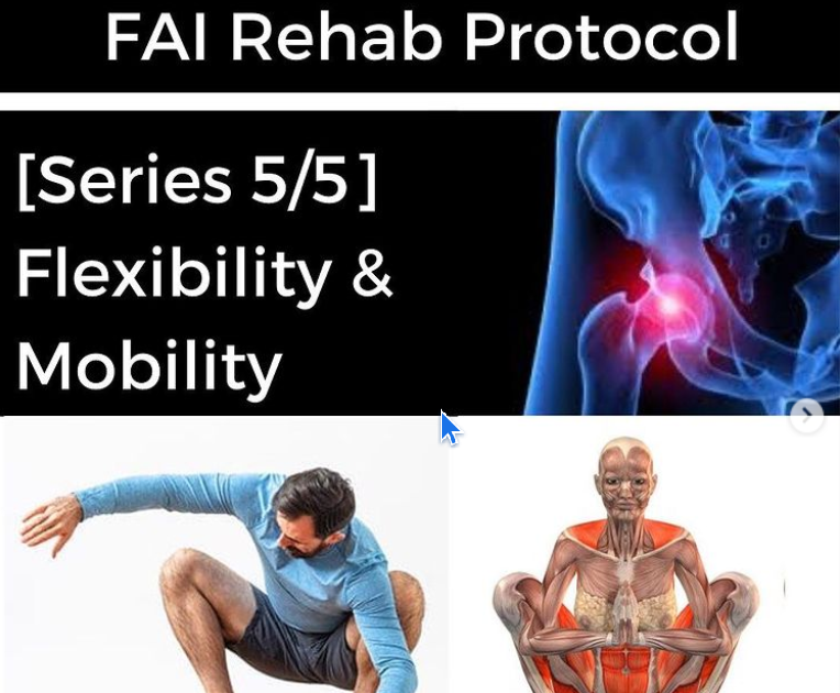 FAI Rehab Protocol Part 5: Flexibility and Mobility | Modern Manual ...