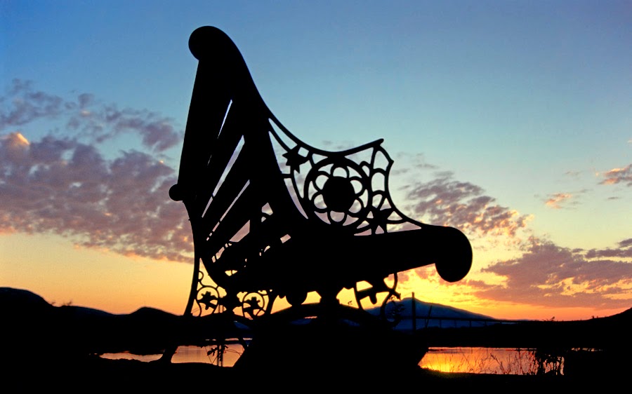 Compositie: LAAG standpunt (kikvors perspectief)