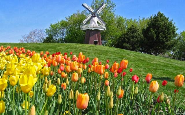 РАЧУВАРИ: март 2014