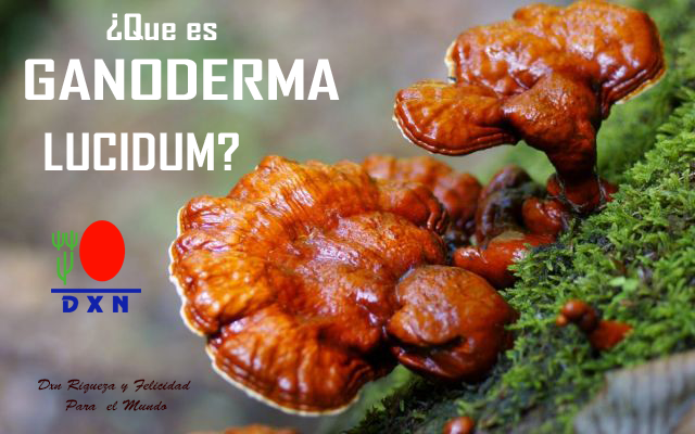 DXN Riqueza y Felicidad Para el Mundo: beneficios del ganoderma