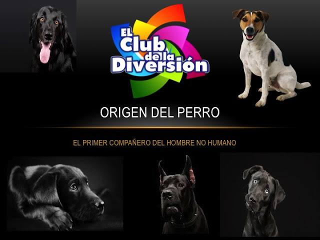 ORIGEN DEL PERRO