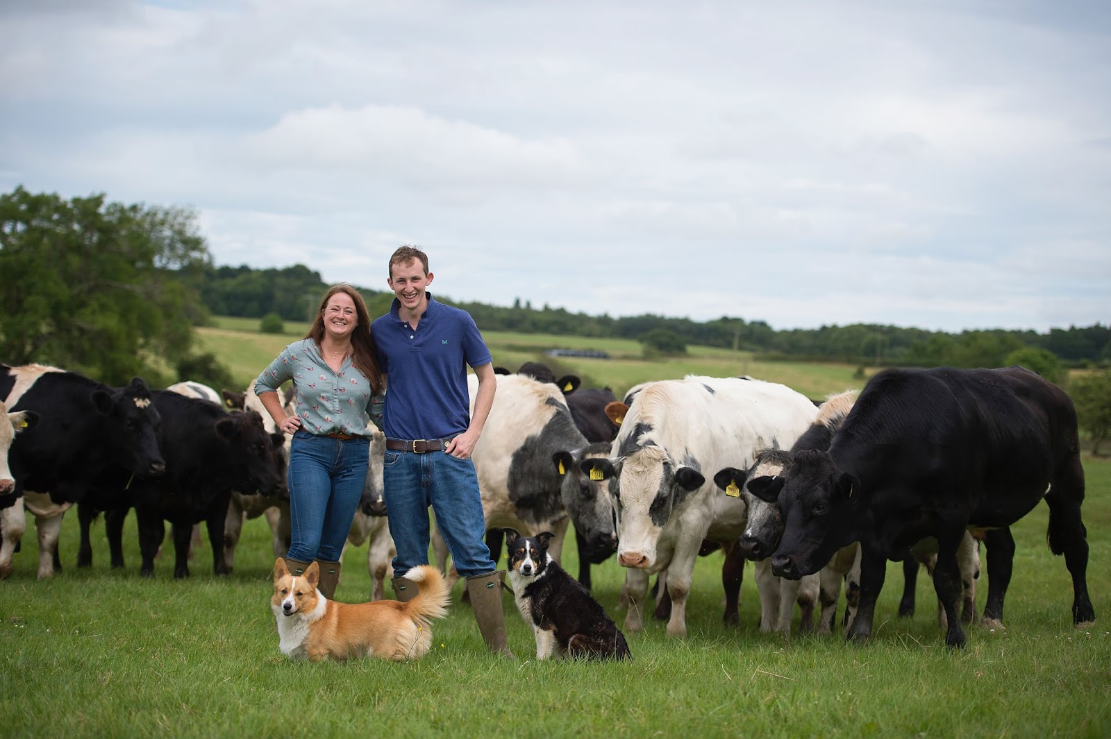 AgriWags Blog... Live Love Farm: Meet the Wag - Kate Simpson Fine Art