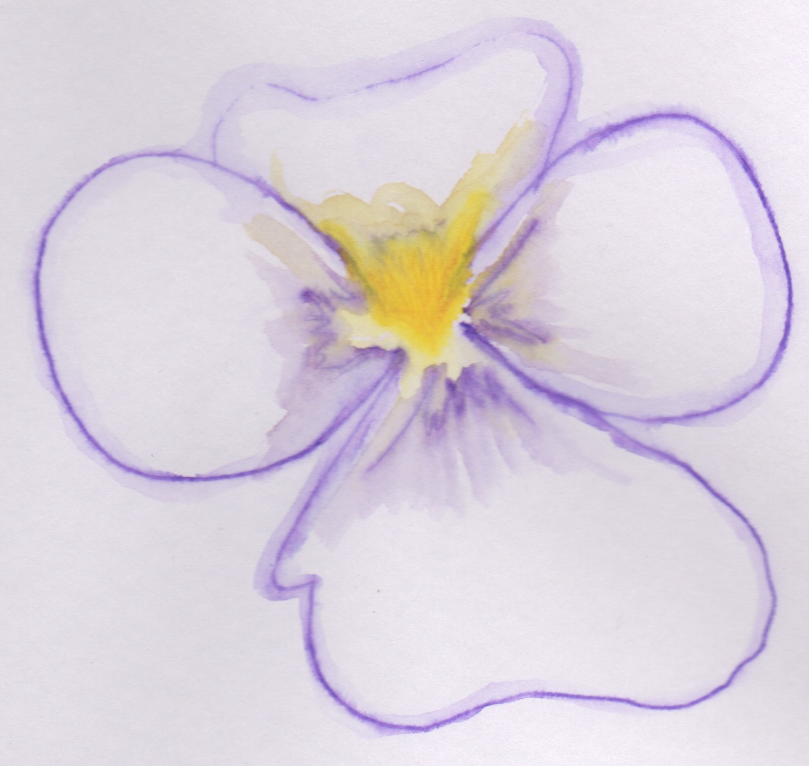 Aimée Jane Howlett: Observational flowers