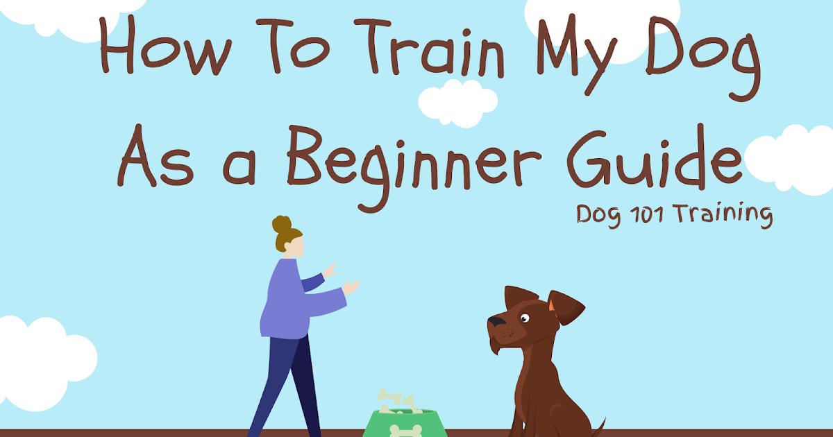 How To Train My Dog As A Beginner Guide Dog 101 Training How To how-to-train-my-dog-as-a-beginner-guide-dog-101-training-how-to