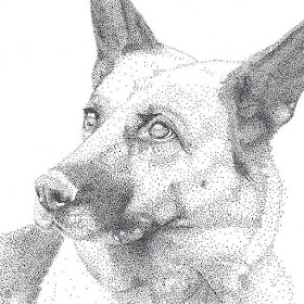 Design Stack: A Blog about Art, Design and Architecture: Animals in ...